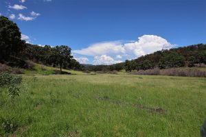 huntingproperties.au – Hunting Properties Australia